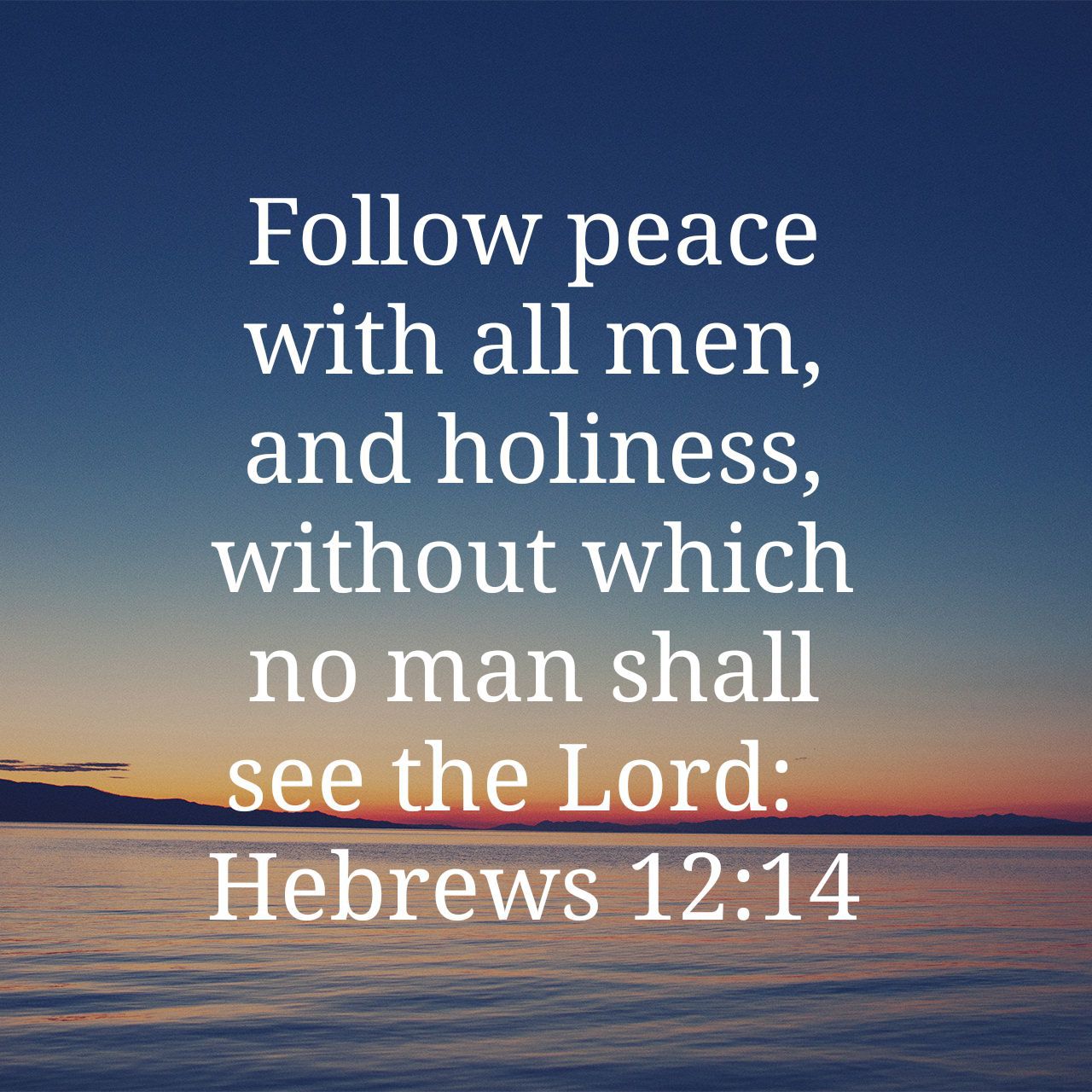 Follow Peace And Holiness-HOFIRM